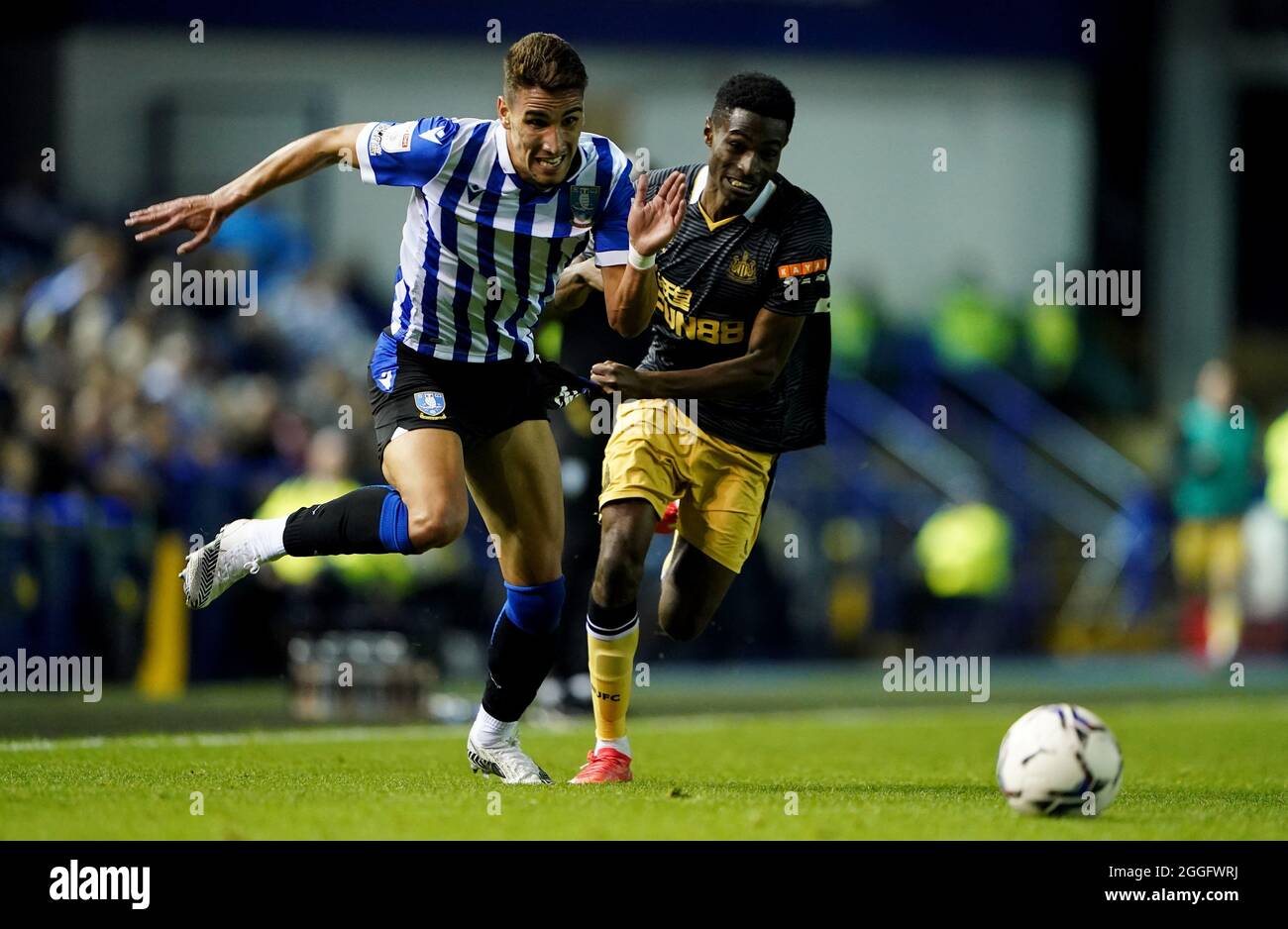 Bondswell matty hi-res stock photography and images - Alamy