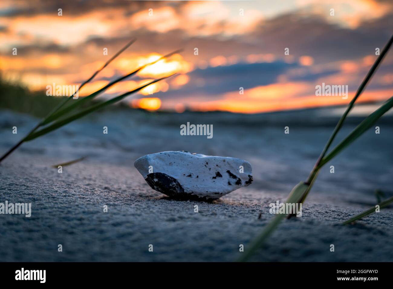 stone at beach in sand Stock Photo - Alamy