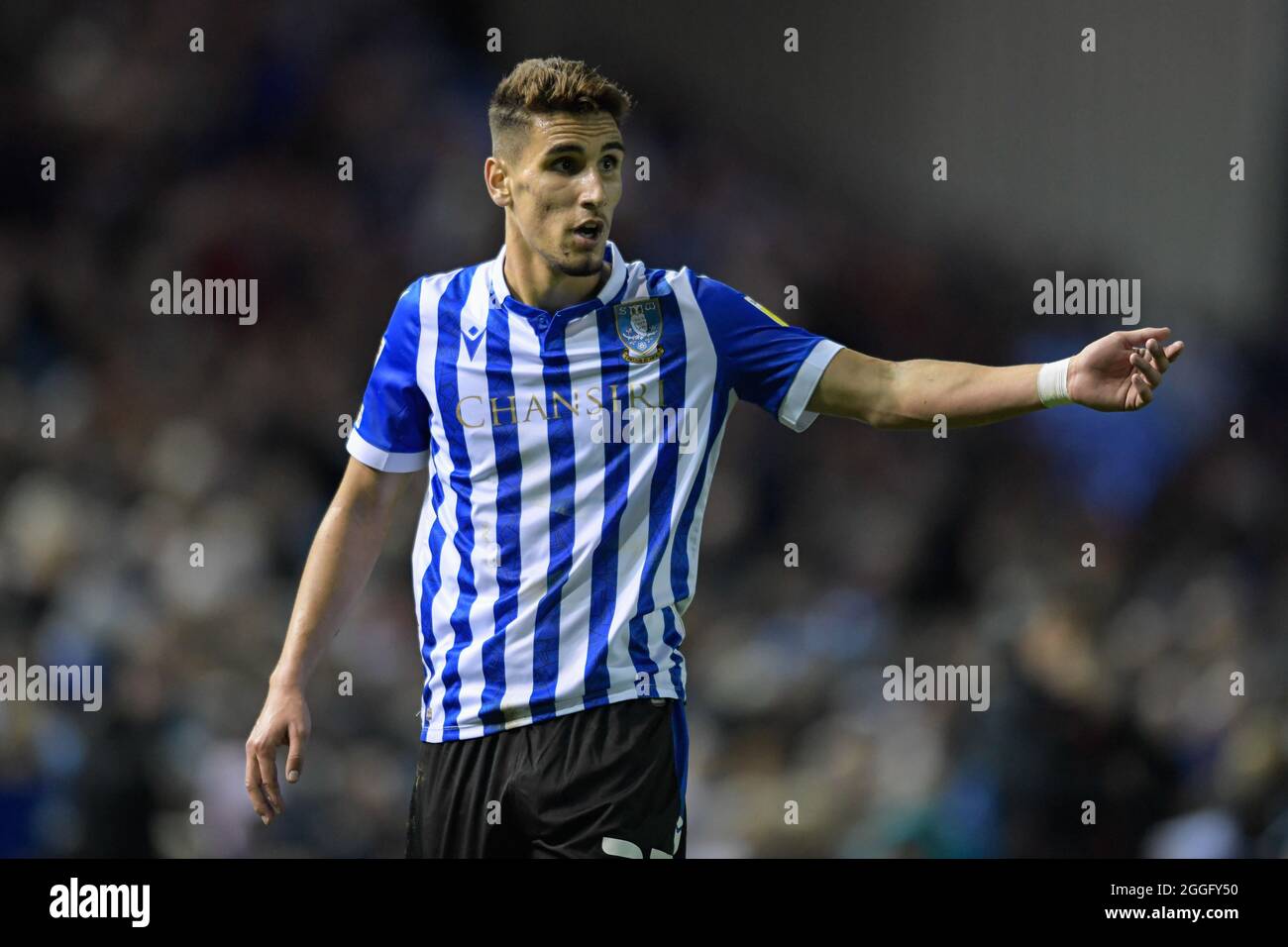 Theo Corbeanu #23 of Sheffield Wednesday in action during the game ...