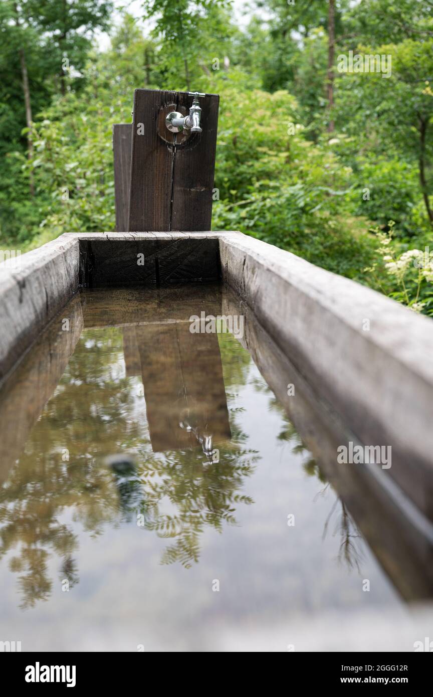 Wooden trough with spring water in the middle of green nature Stock ...