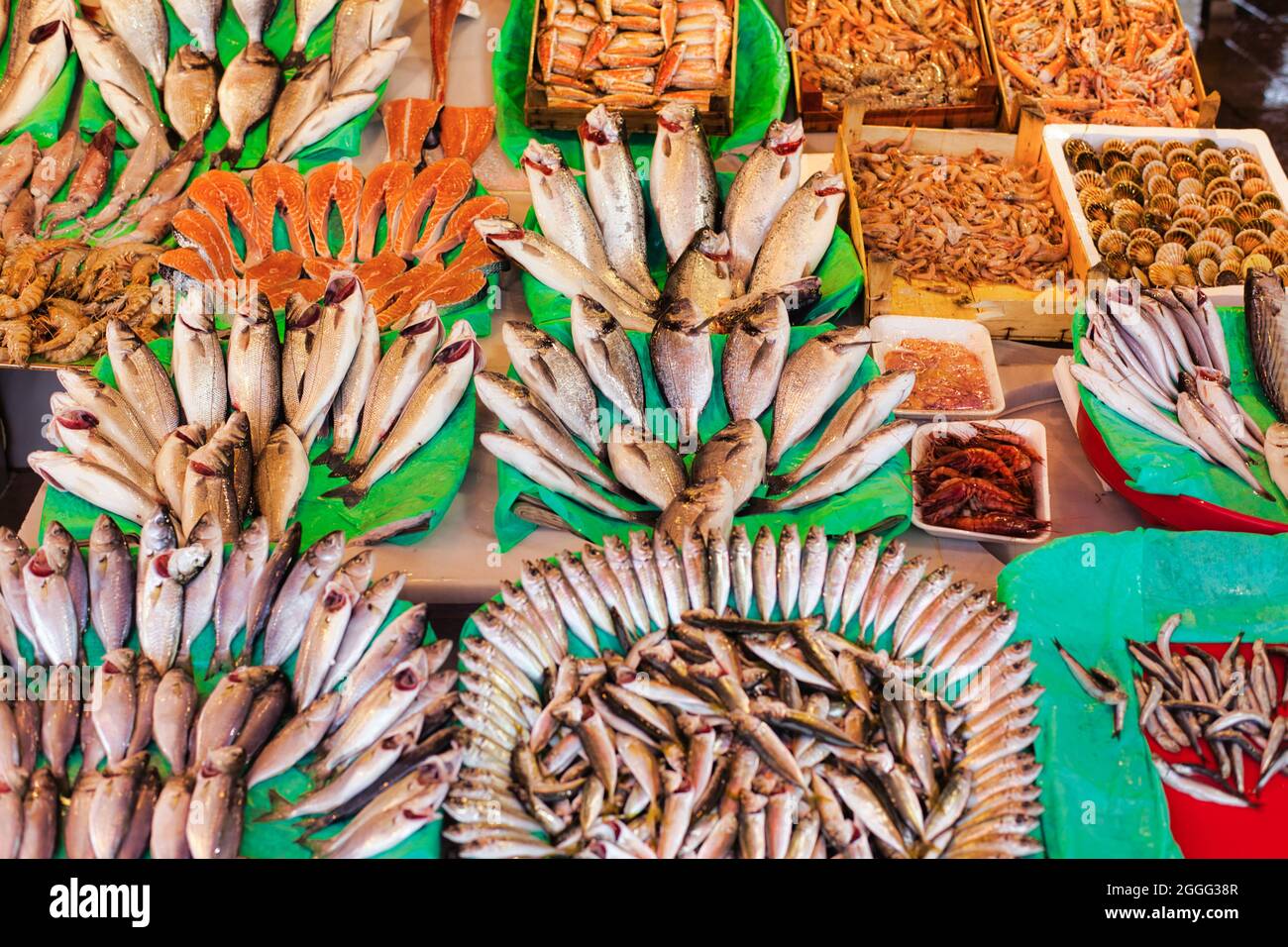Shot of different types of fish on the plates in the market Stock Photo ...