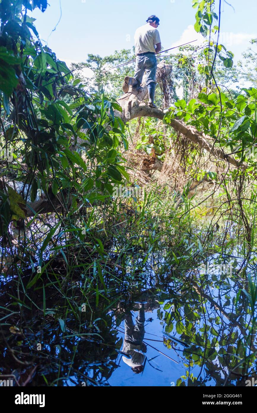 MADIDI, BOLIVIA - MAY 8, 2105: Native tour guide hunting in a jungle of ...