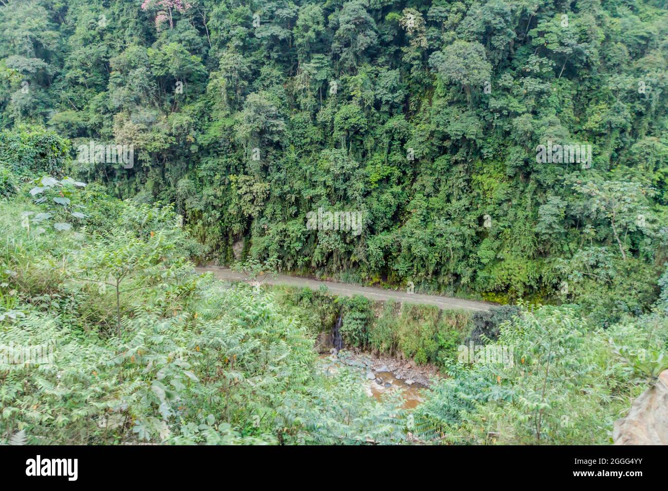Narrow dangerous road in a valley of Coroico river in Yungas mountains ...