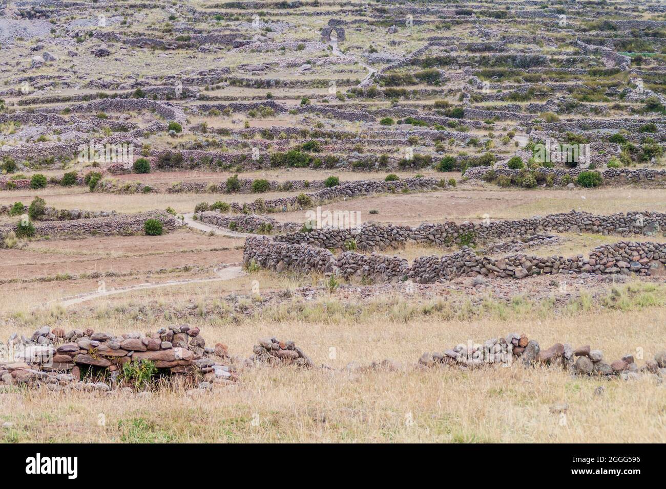 Small walled fields and pastures on Amantani island, Titicaca lake ...