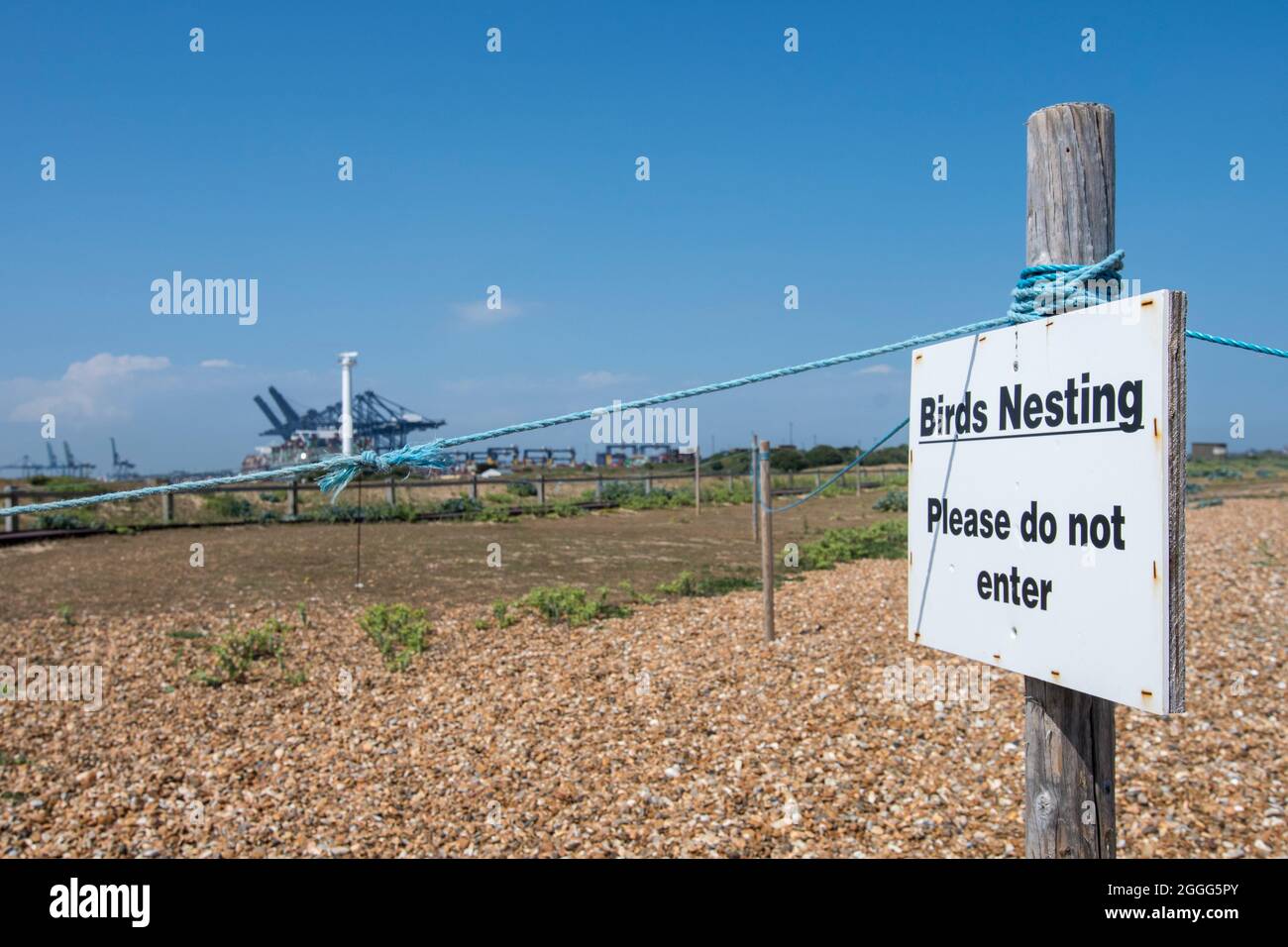Bird nesting sign on Languard Nature Reserve beach with Felixstowe ...