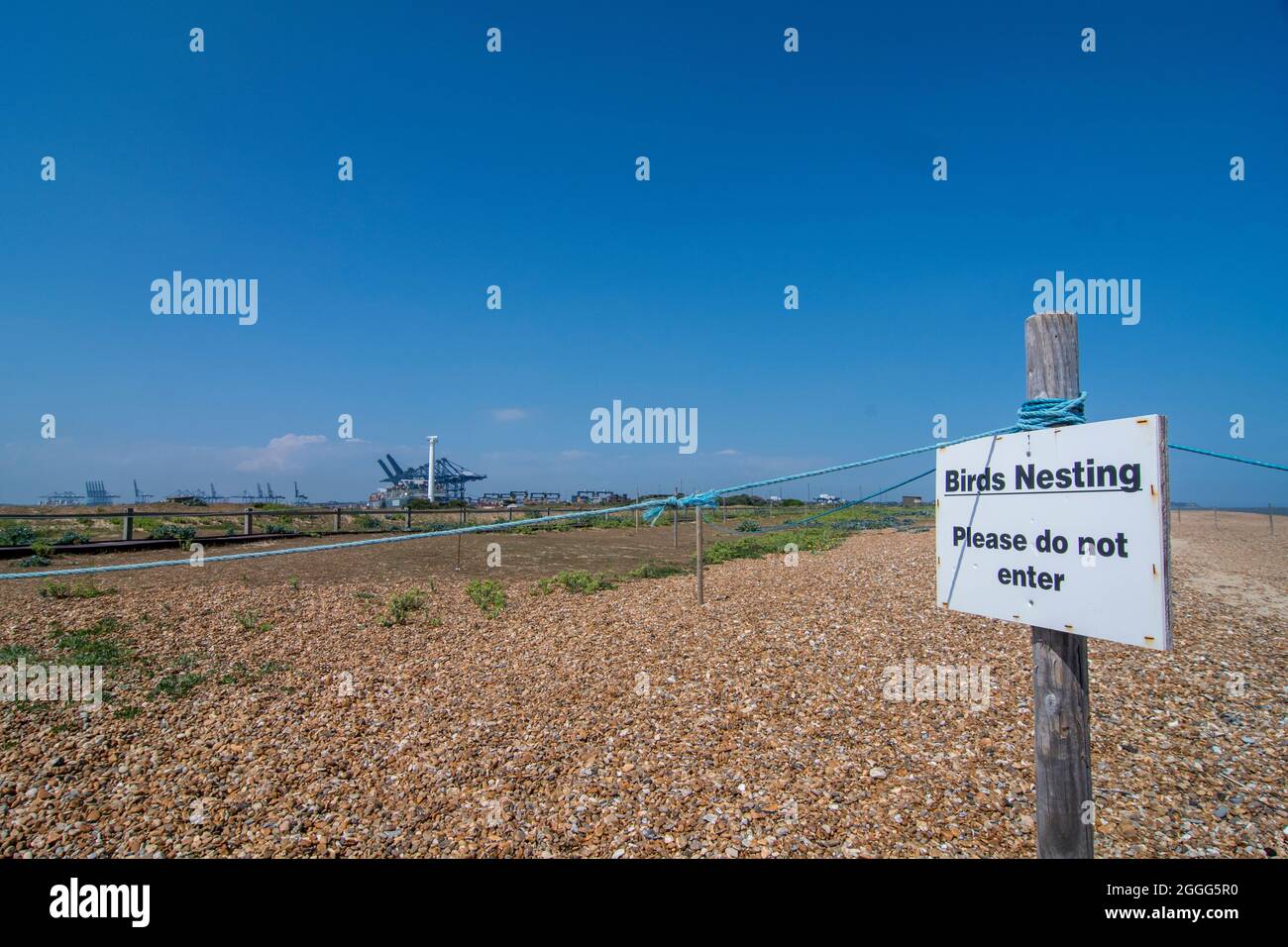 Bird nesting sign on Languard Nature Reserve beach with Felixstowe ...