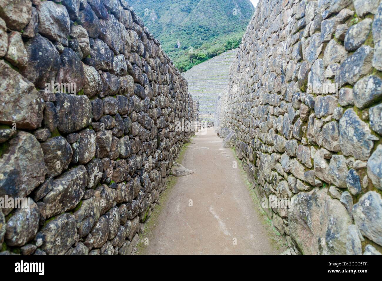 Preserved walls at Machu Picchu ruins, Peru Stock Photo - Alamy