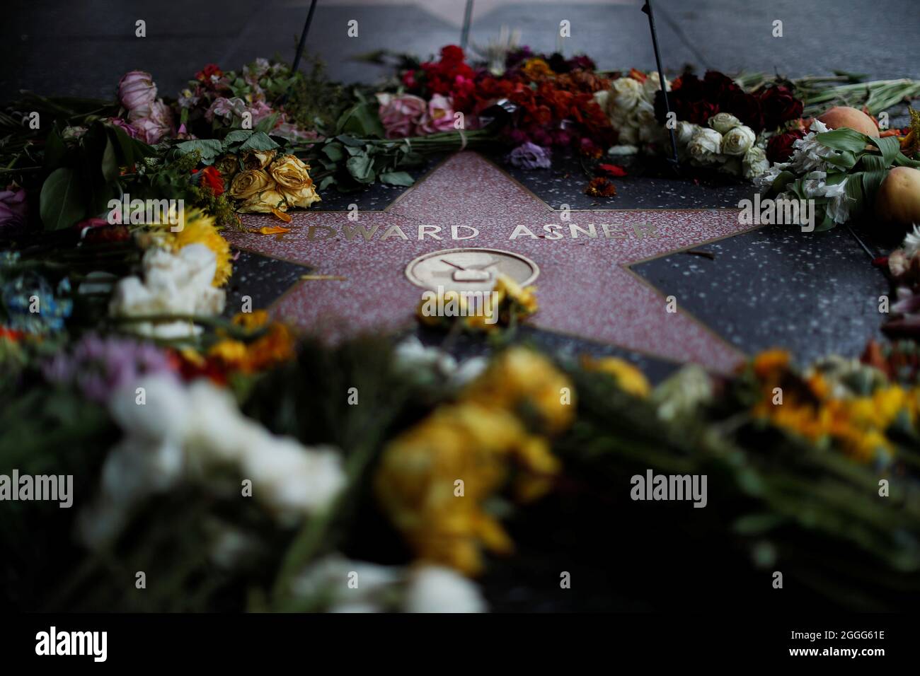 Actor ed asner hi-res stock photography and images - Alamy