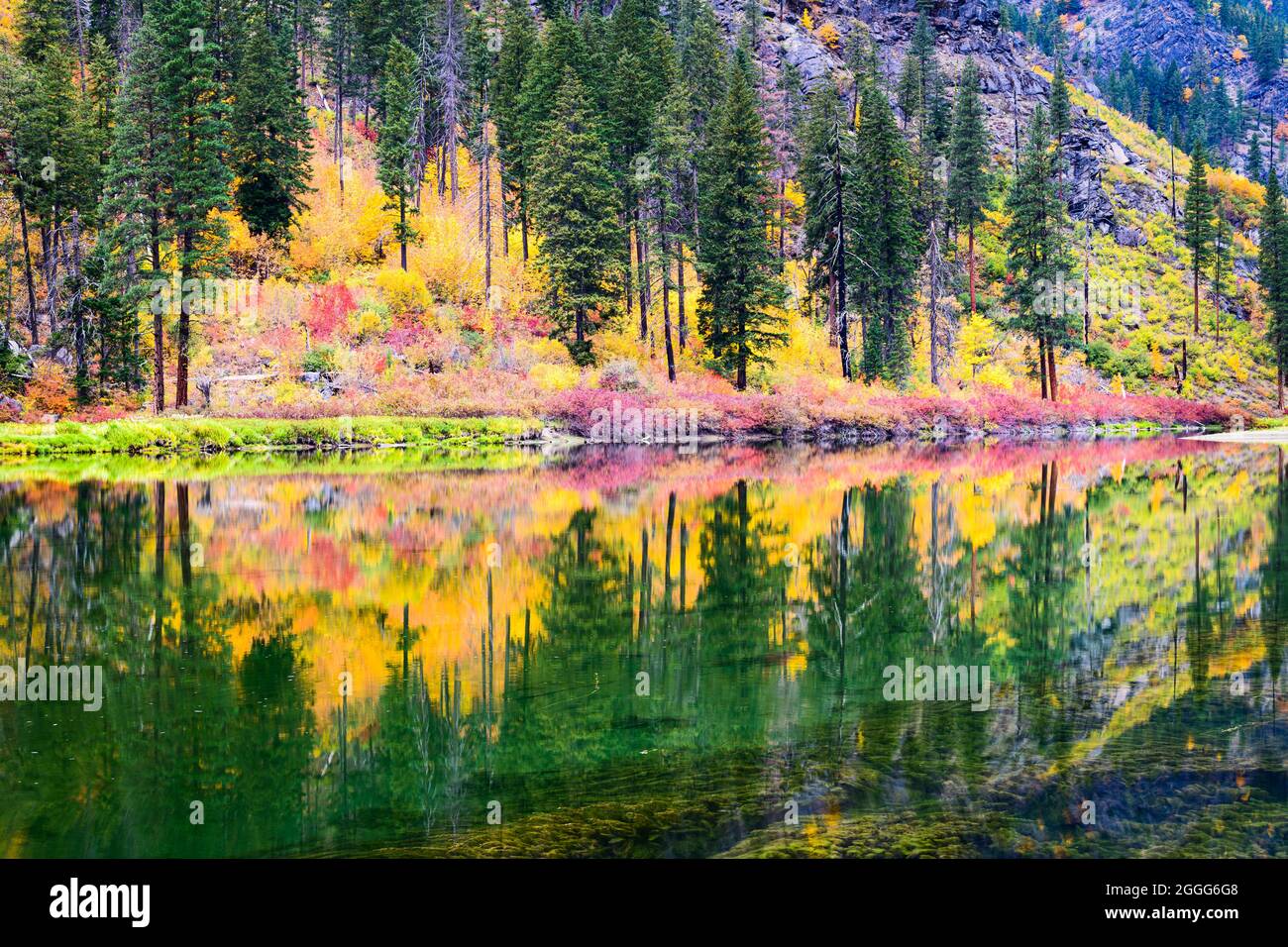 Fall colors reflect in the Wenatchee River in the Cascade Mountains in ...