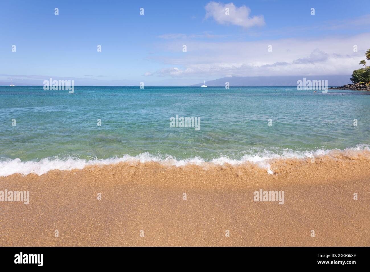 Wave on sand close up in tropical beach. Ocean water background Stock ...