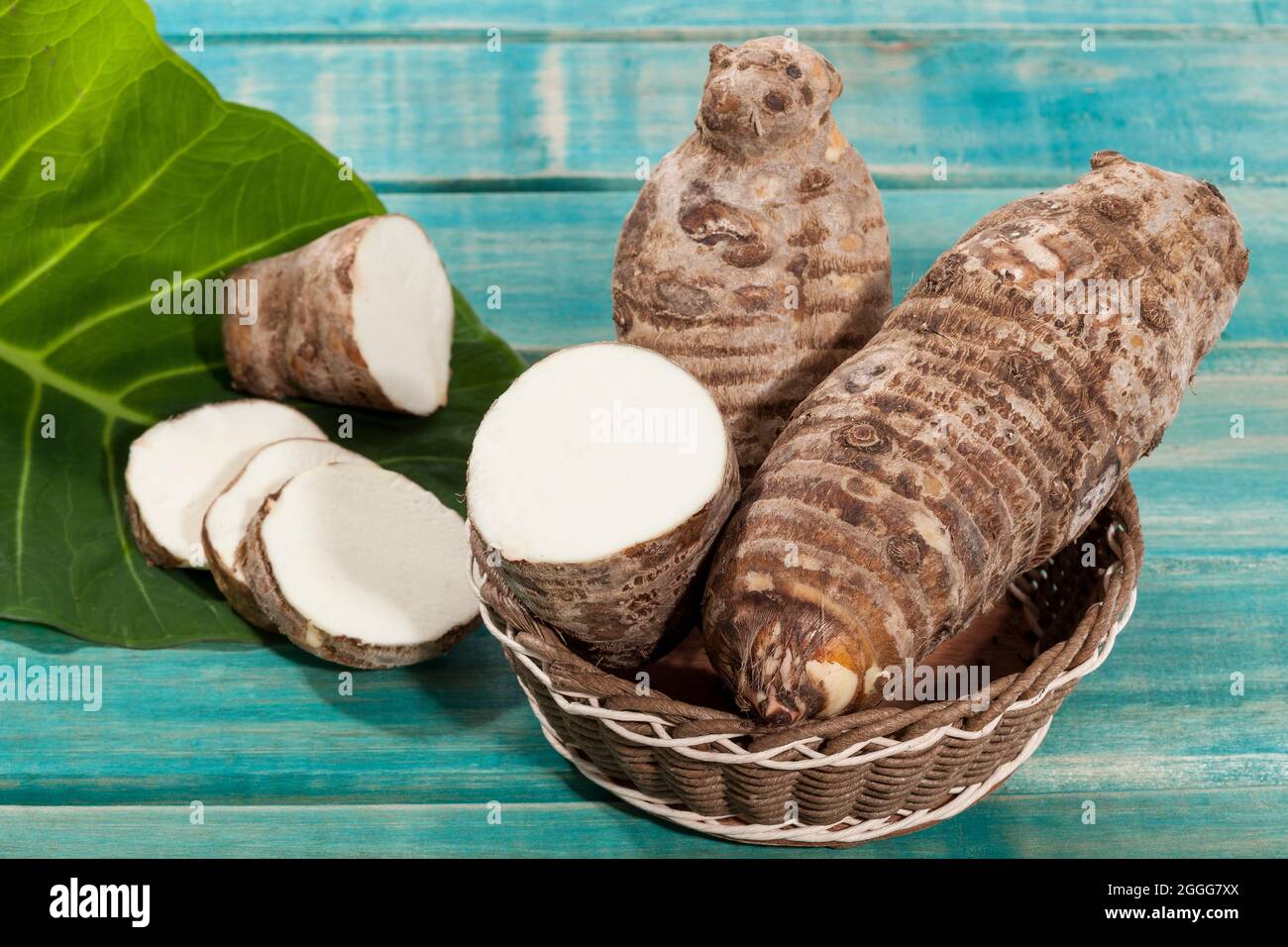 Malanga Edible Tuber - Root Of The Plant Called Colocasia Esculenta ...
