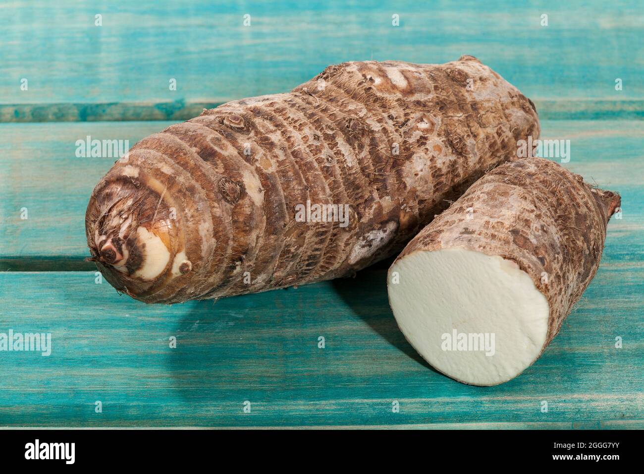 Malanga Edible Tuber - Root Of The Plant Called Colocasia Esculenta ...