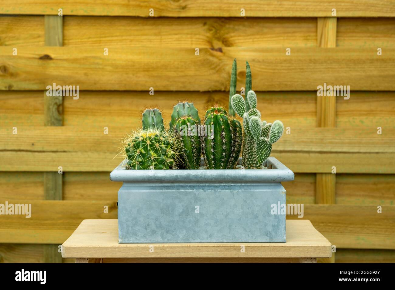 Pot without flower hi-res stock photography and images - Alamy