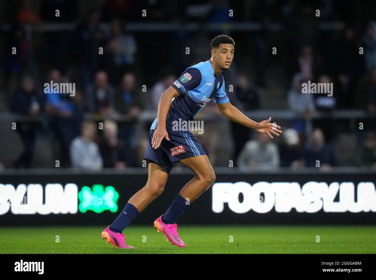 Chris forino joseph hi-res stock photography and images - Alamy