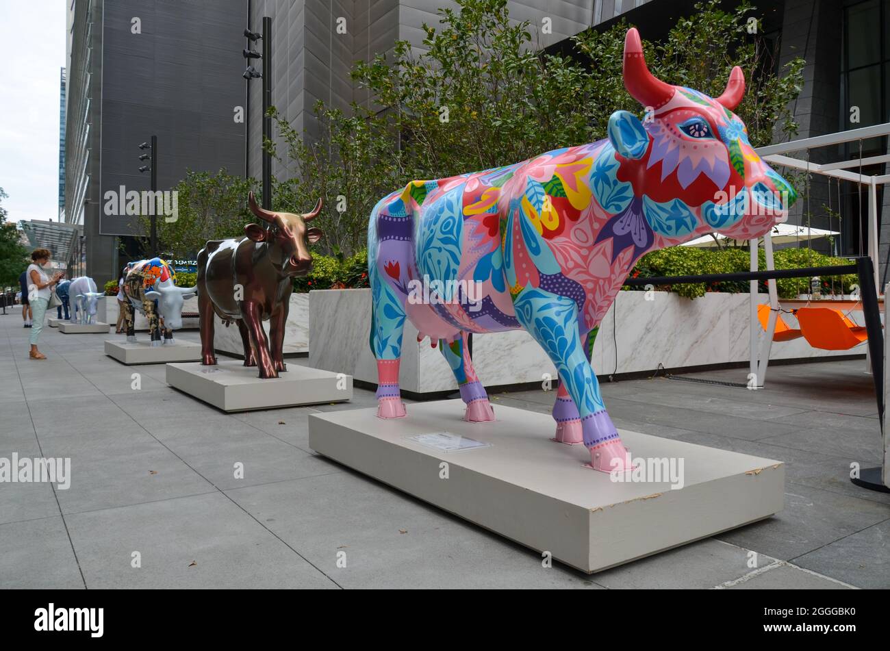 The Cow Parade returned after 20 years, public art exhibit is seen in ...