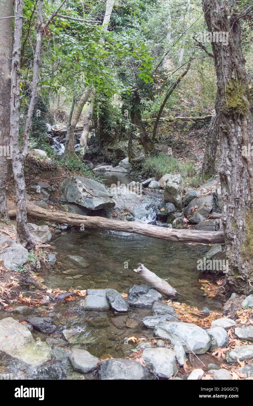 The view of nature trail to Millomeris waterfall, Pano Platres, Cyprus ...