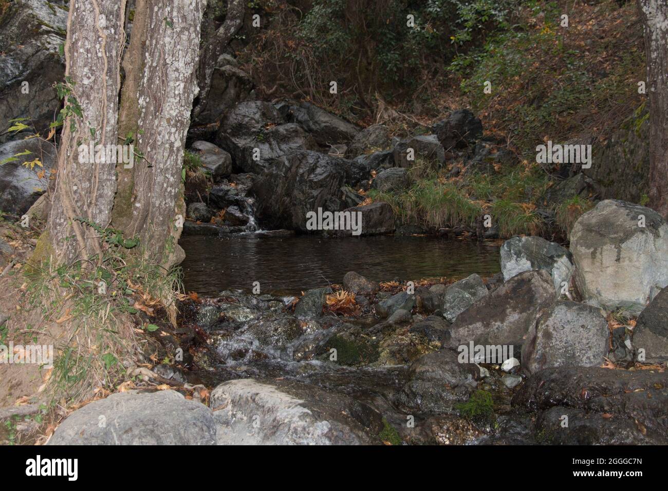 The view of nature trail to Millomeris waterfall, Pano Platres, Cyprus ...