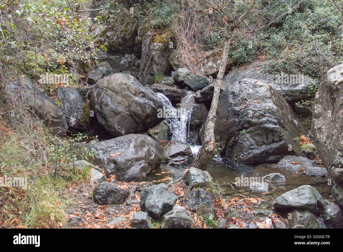The view of nature trail to Millomeris waterfall, Pano Platres, Cyprus ...