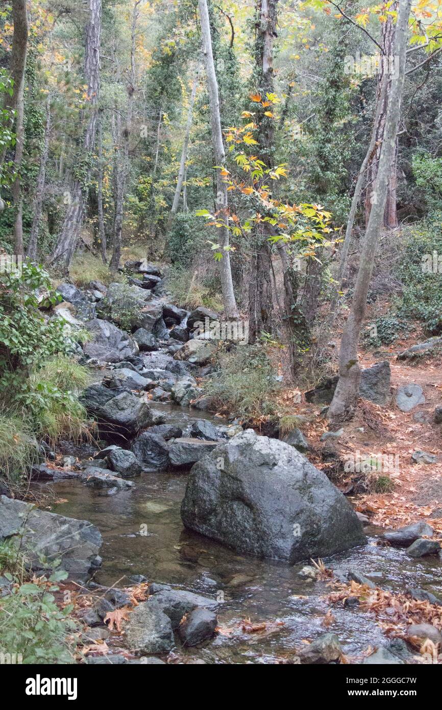 The view of nature trail to Millomeris waterfall, Pano Platres, Cyprus ...
