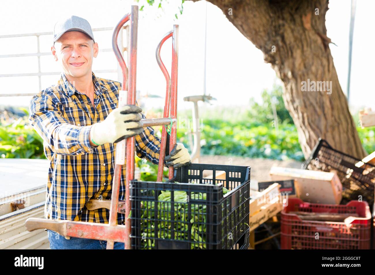 Warehouse worker with hand cart Stock Photo - Alamy