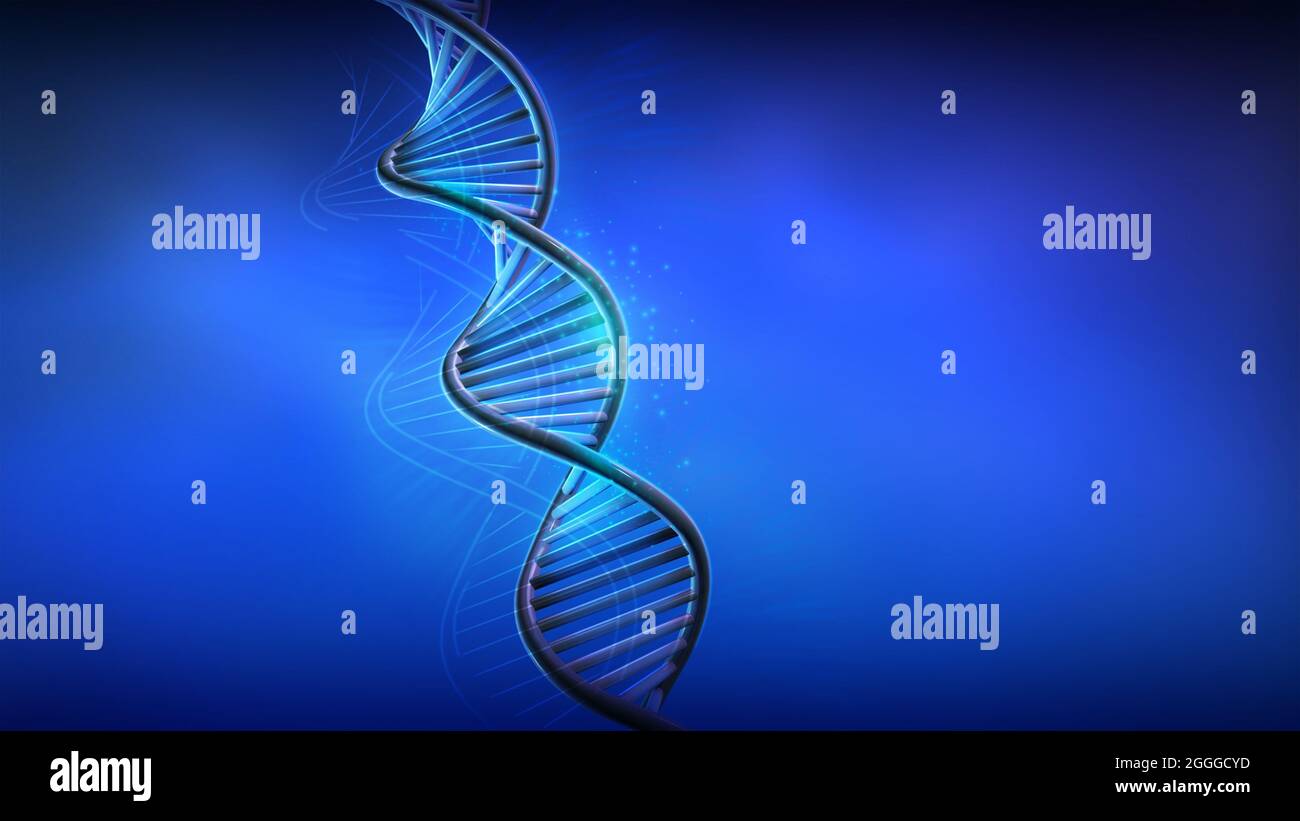 Dna model spiral hi-res stock photography and images - Alamy