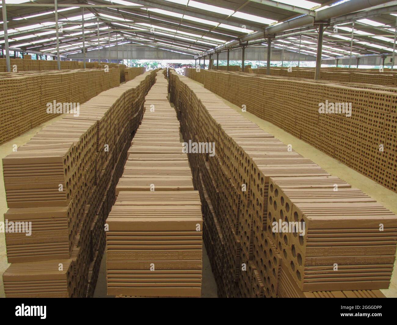 the raw shape of the bricks from wet clay and water are kept for drying ...