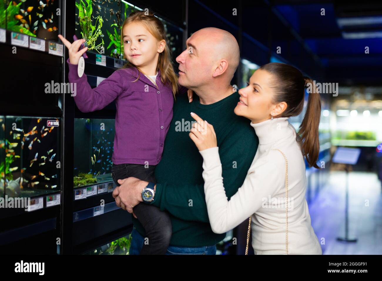 Happy family choosing aquarium fish Stock Photo - Alamy