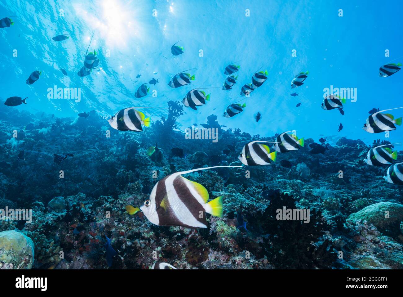 Indian schooling hi-res stock photography and images - Alamy