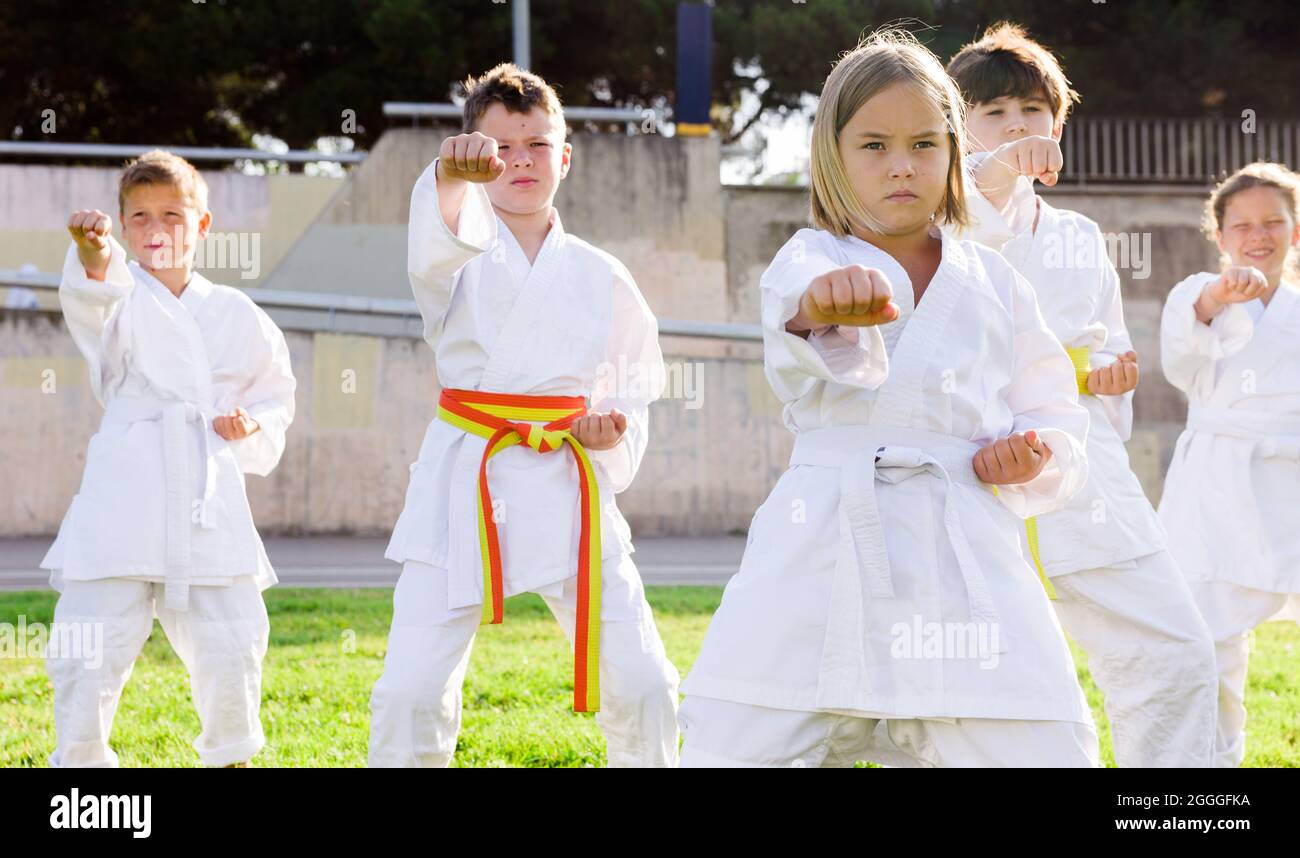 Children training a new moves during karate class at summer outdoors ...
