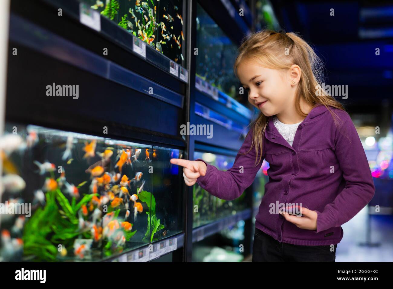 Girl choosing aquarium fish in pet store Stock Photo - Alamy