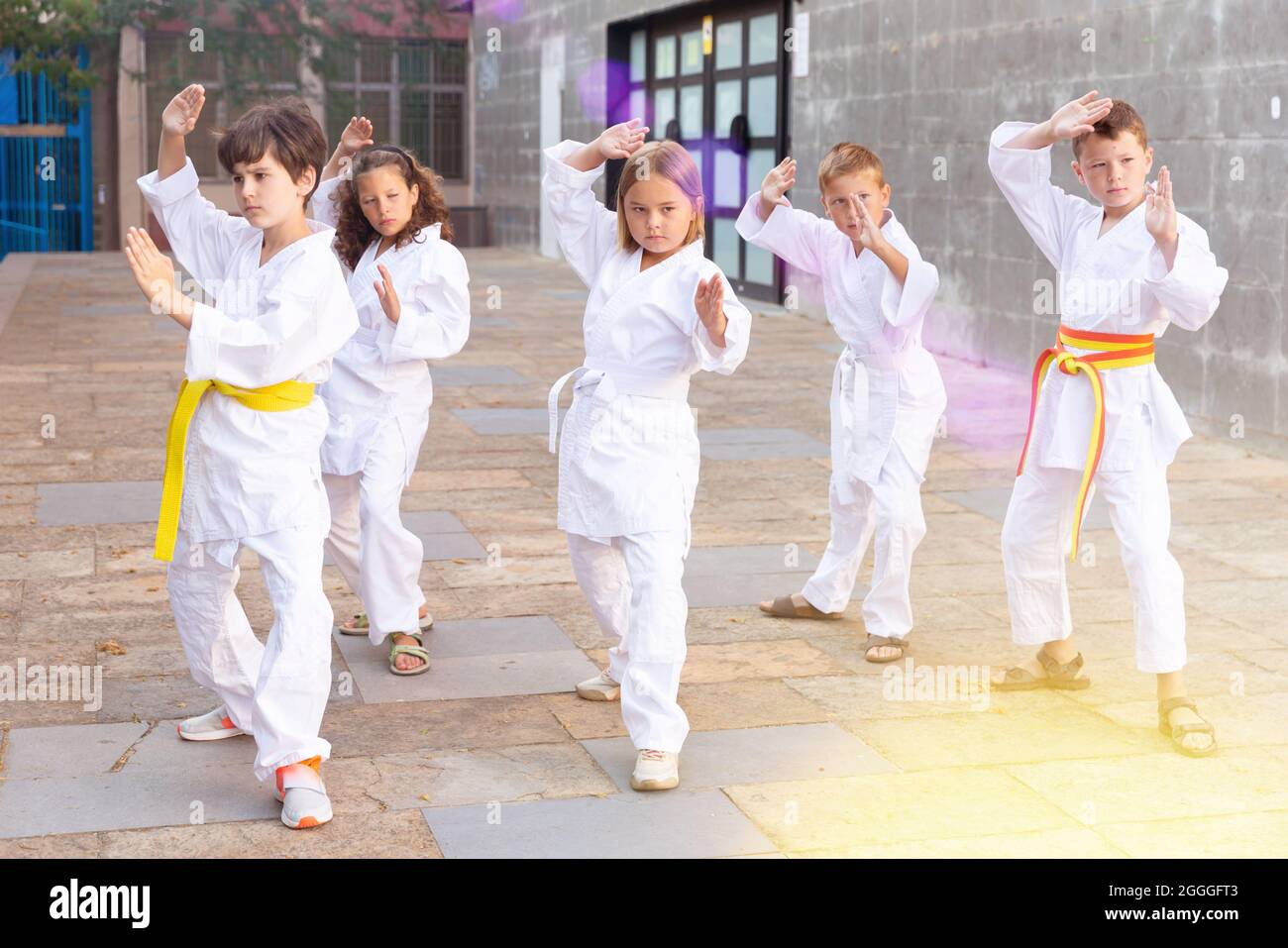 Children are standing in the fighting stance karate Stock Photo - Alamy