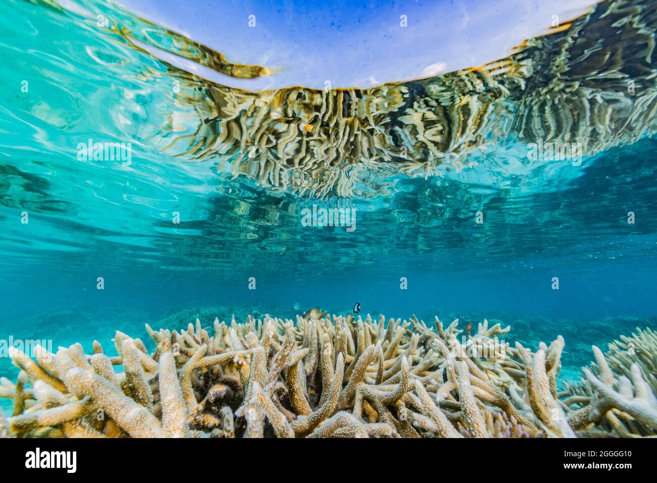 Sand underwater hi-res stock photography and images - Alamy