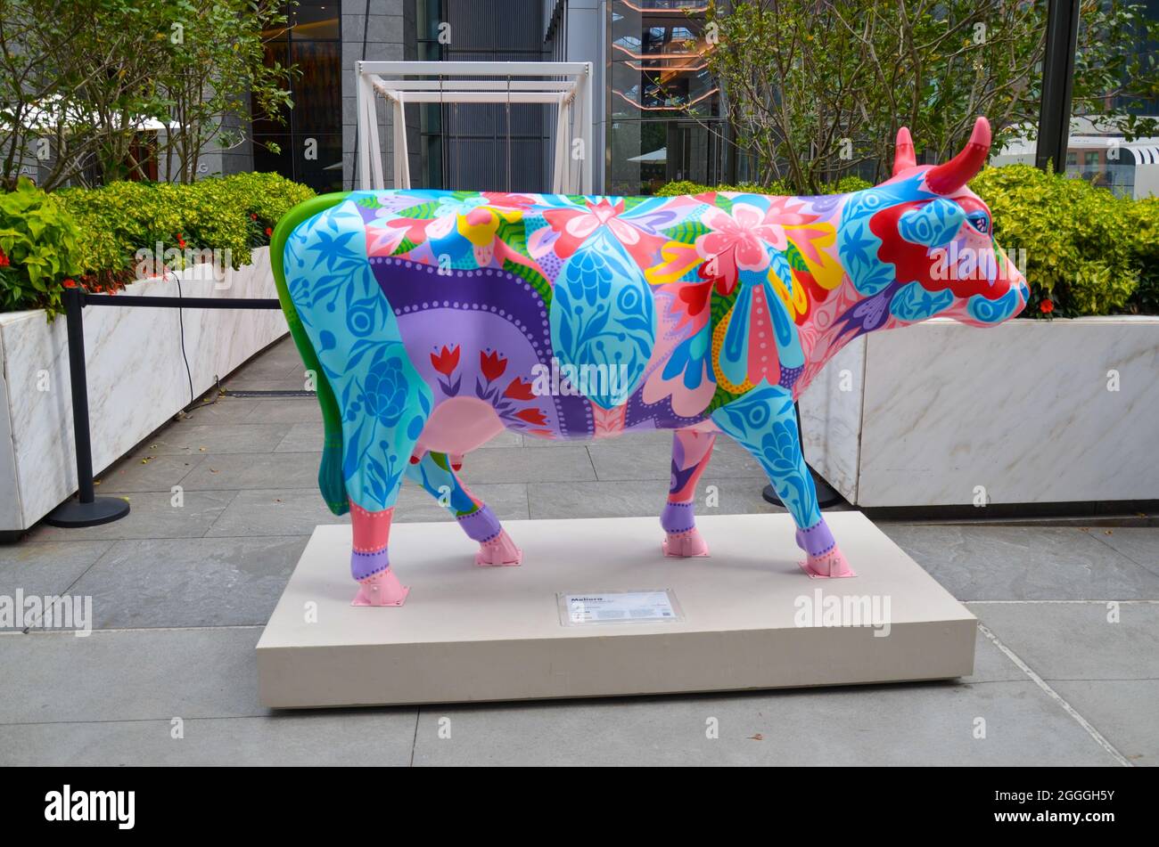 New York, United States. 31st Aug, 2021. A 87 inches cow sculpture is ...