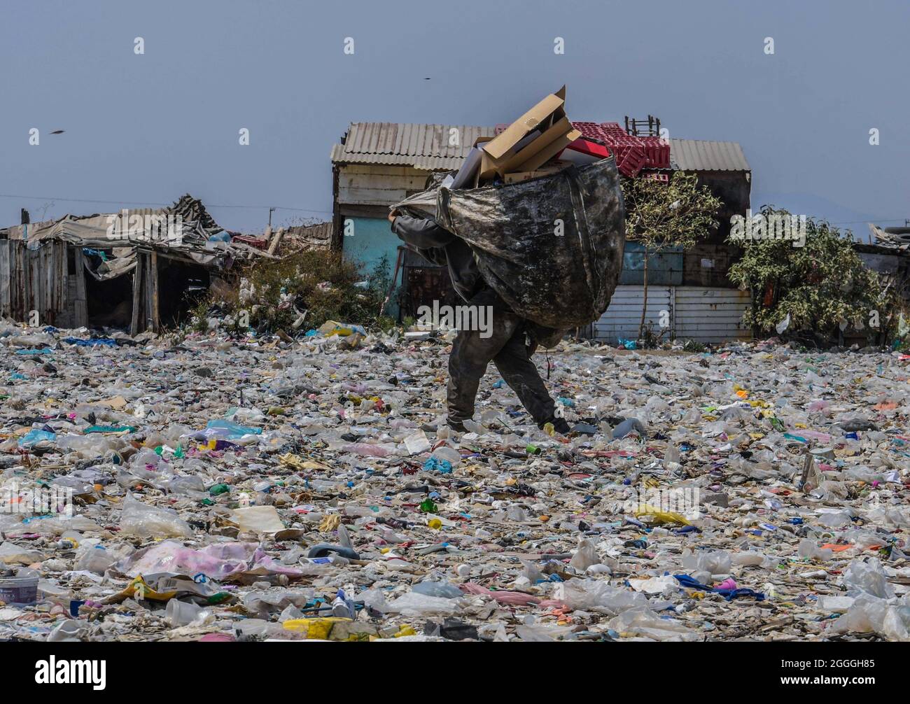 Non Exclusive: People during the collection and separation of waste ...