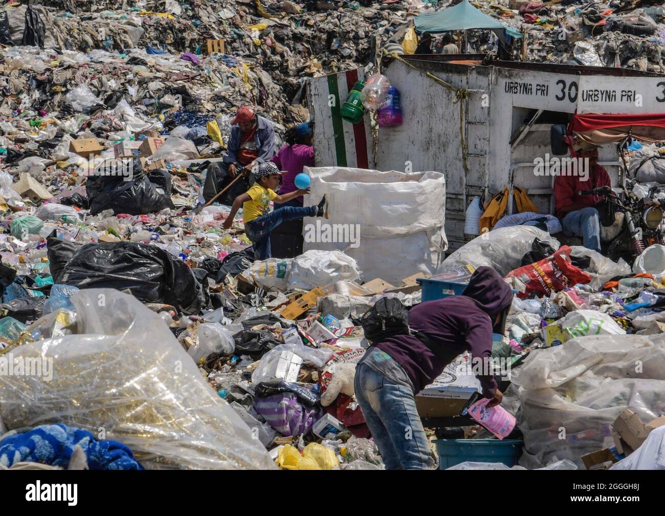 Non Exclusive: People during the collection and separation of waste ...