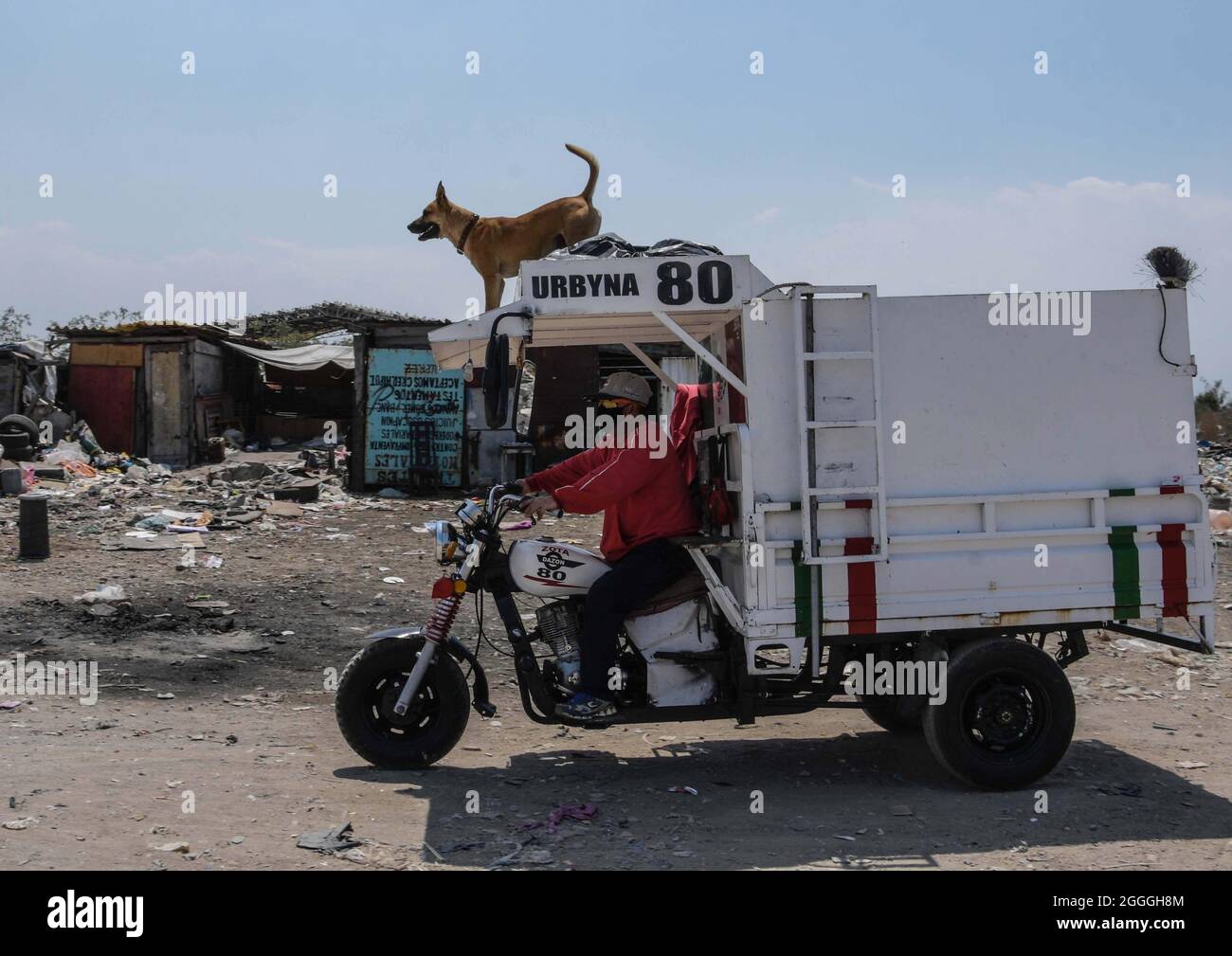 Non Exclusive: People during the collection and separation of waste ...
