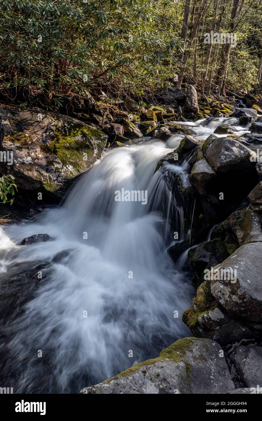 Middle Prong Trail of the Great Smoky Mountains in Cades Cove has ...