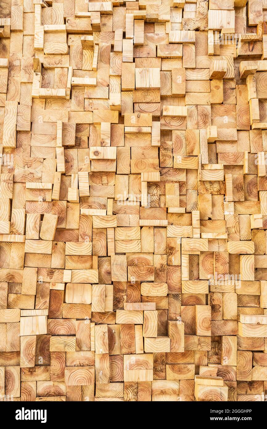 Wood texture of cut tree trunk for background Stock Photo - Alamy