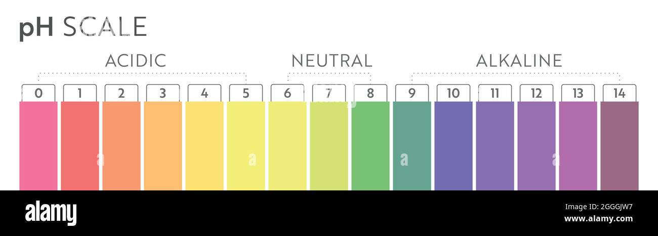 pH Value scale chart. Acid-base balance infographic. Education Poster ...