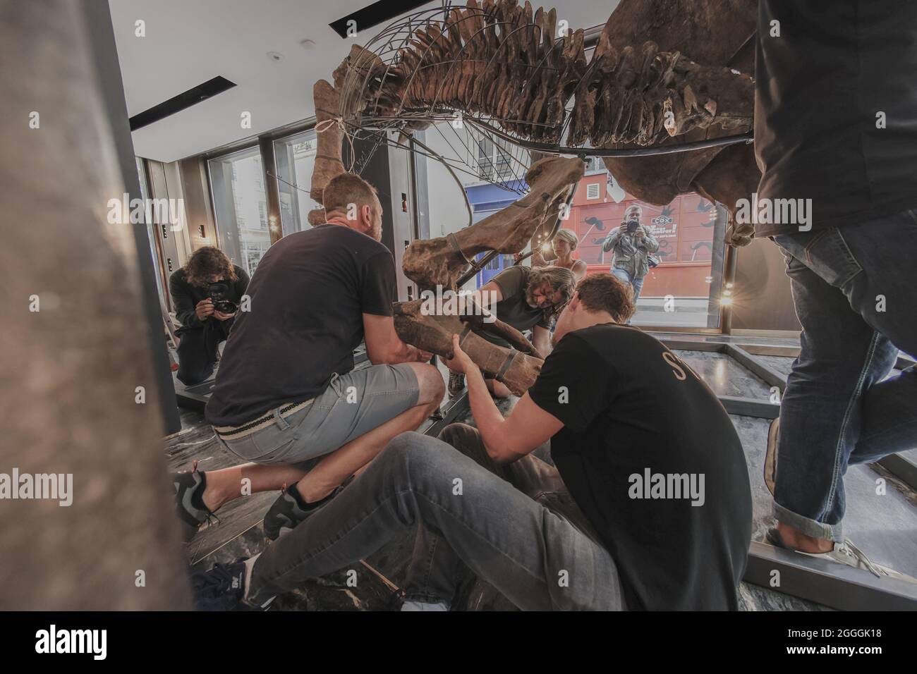 Big john triceratops hi-res stock photography and images - Alamy