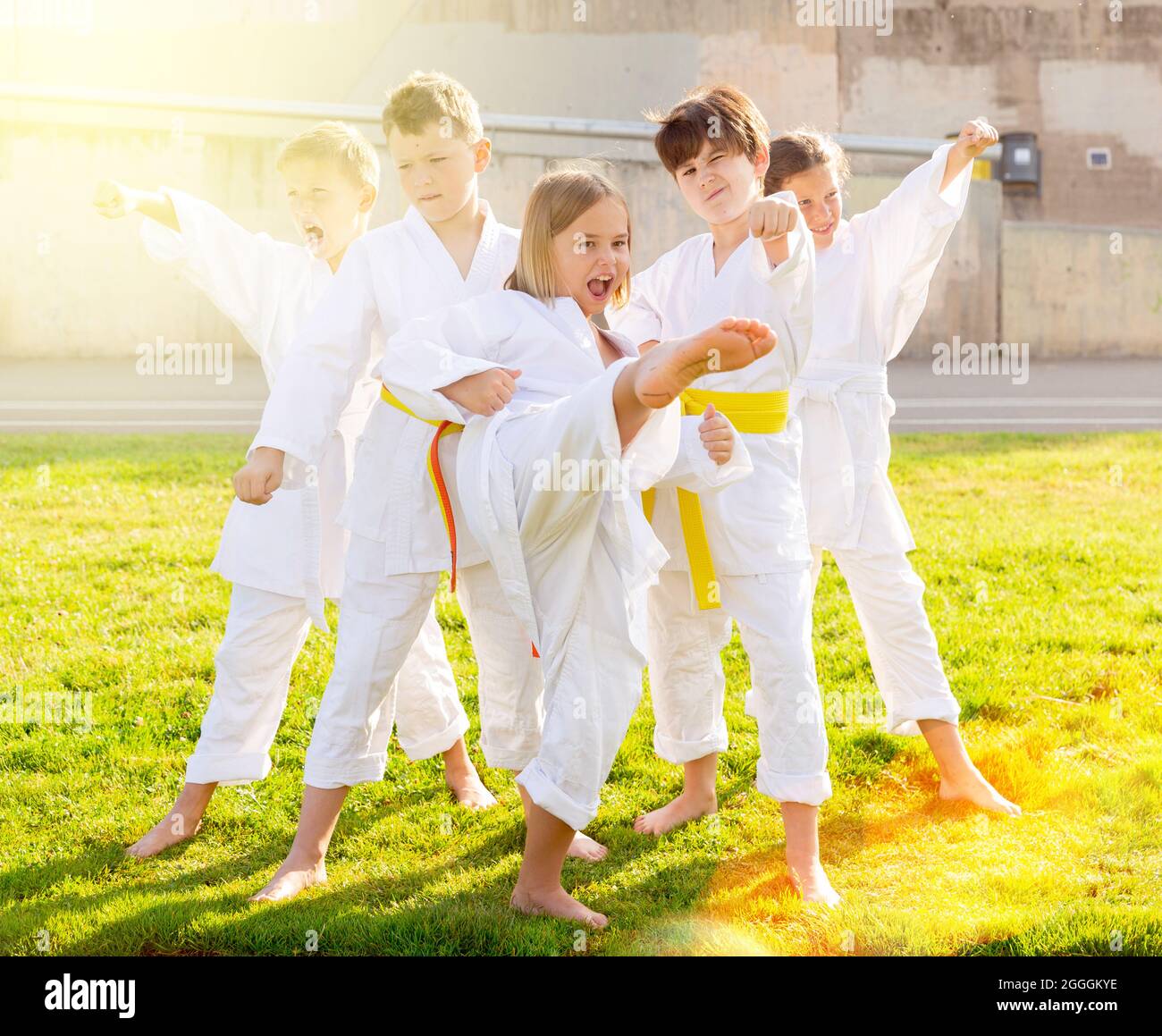 Tween girls and boys exercising taekwondo techniques on green lawn ...