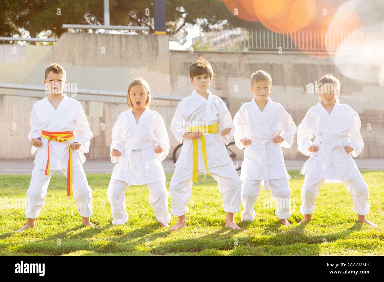 Kids in kimono doing kata moves Stock Photo - Alamy