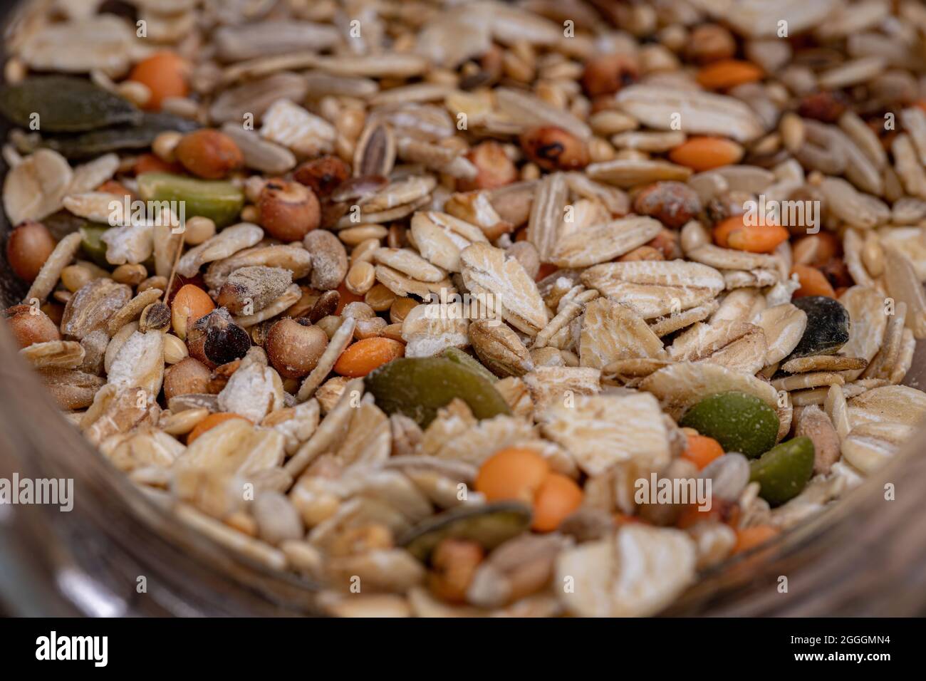 Healthy mix of different seeds for animals like hamsters rats and birds ...