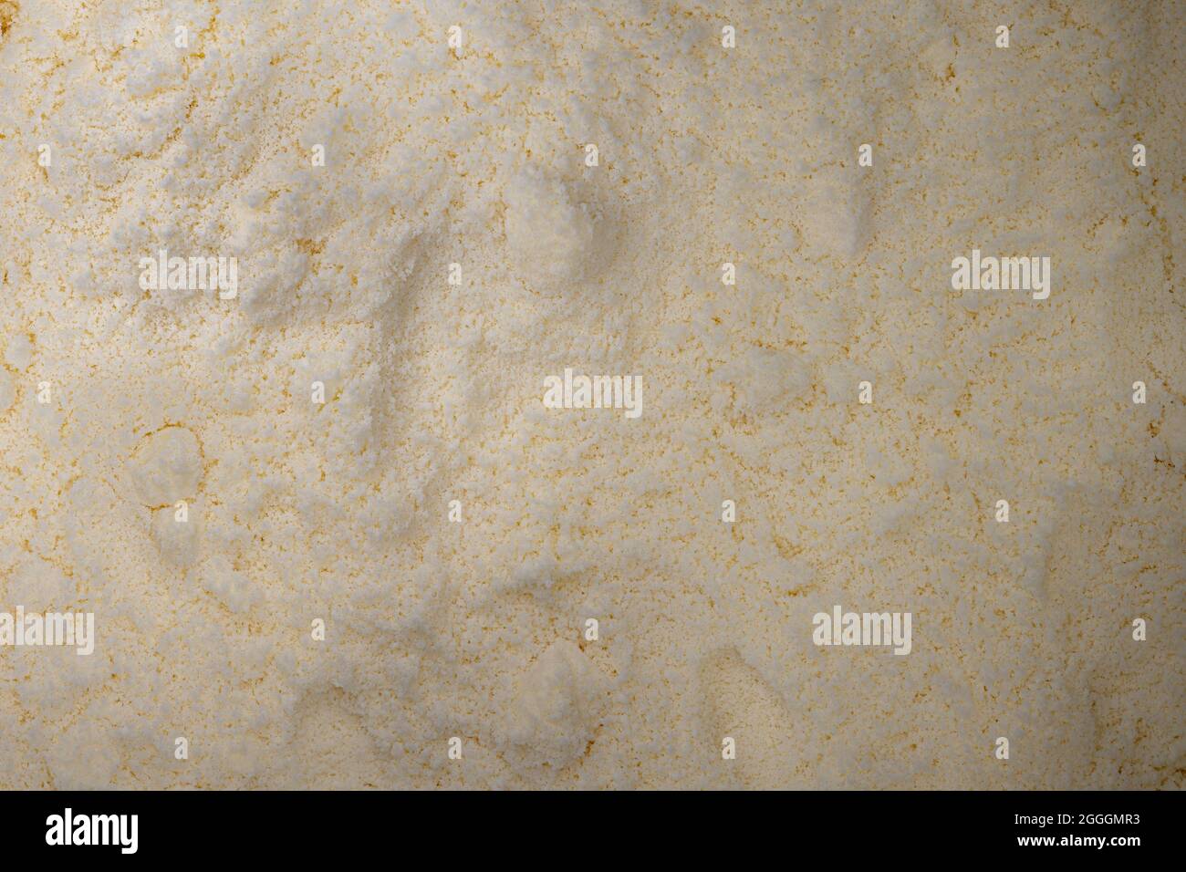 Whole milk powder texture in macro view Stock Photo - Alamy