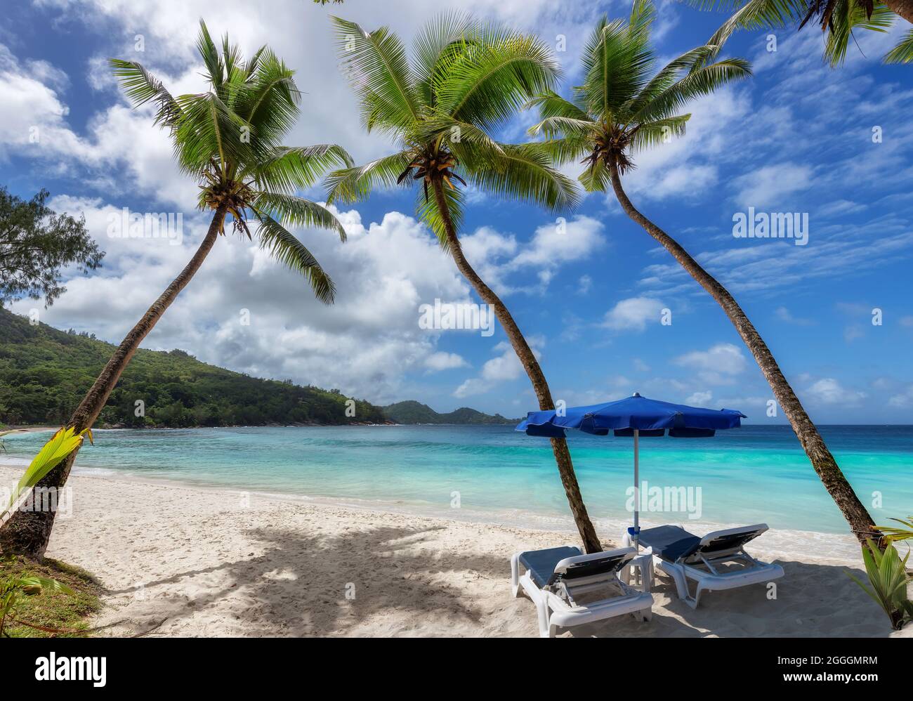 Tropical sunny beach for summer vacations in paradise island Stock ...