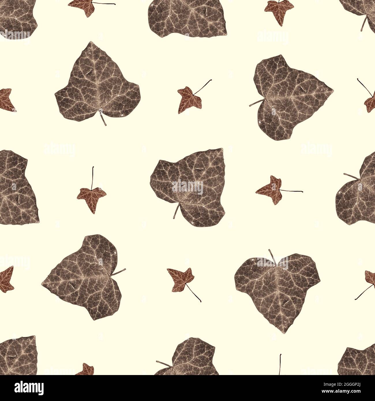 Stylish pattern with autumn leaves. Leaf fall. Autumn pattern. A modern ...