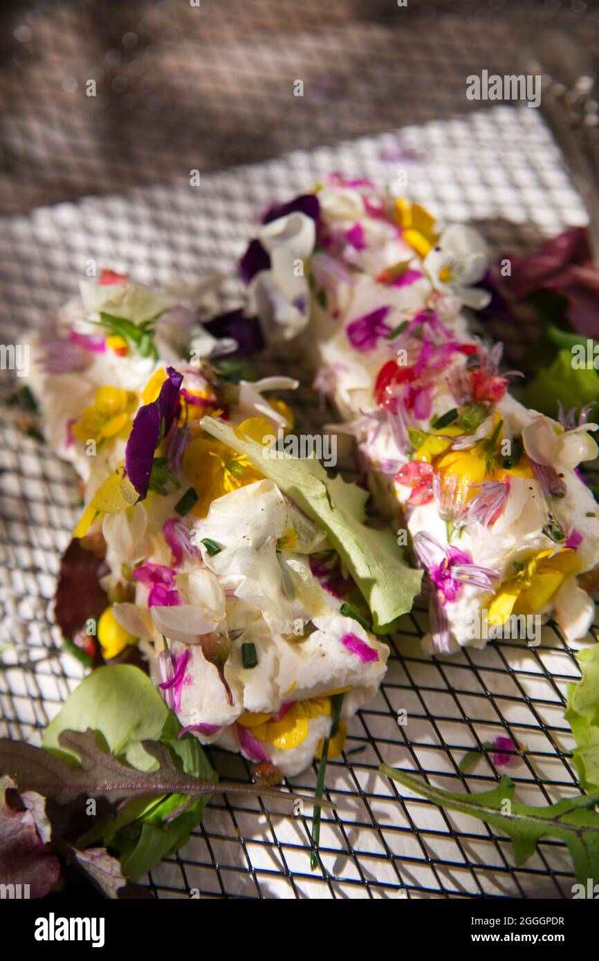 Presentation goat cheese rolls hi-res stock photography and images - Alamy