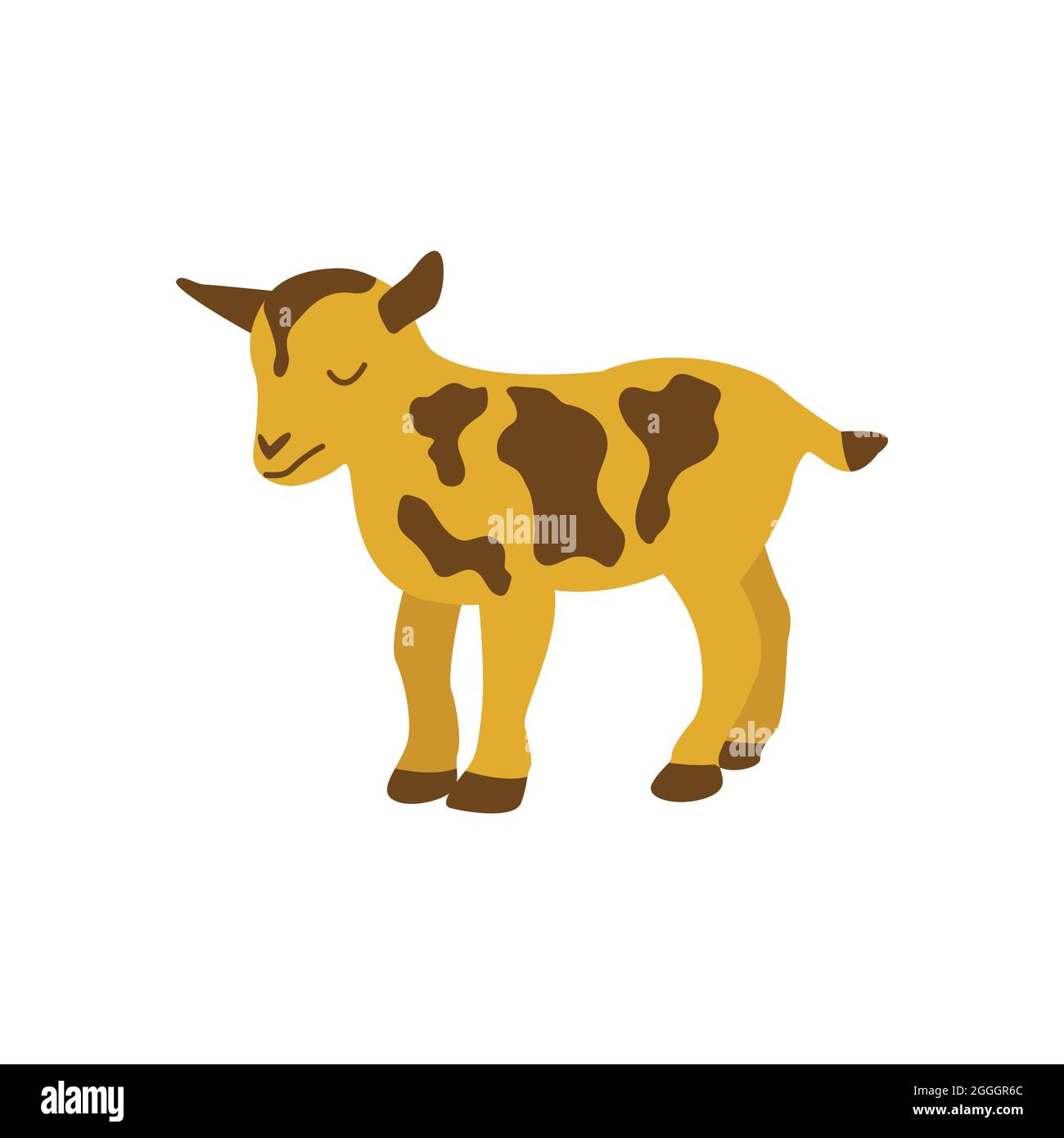 American pygmy goat. Mammal herbivore. Colorful vector isolated ...