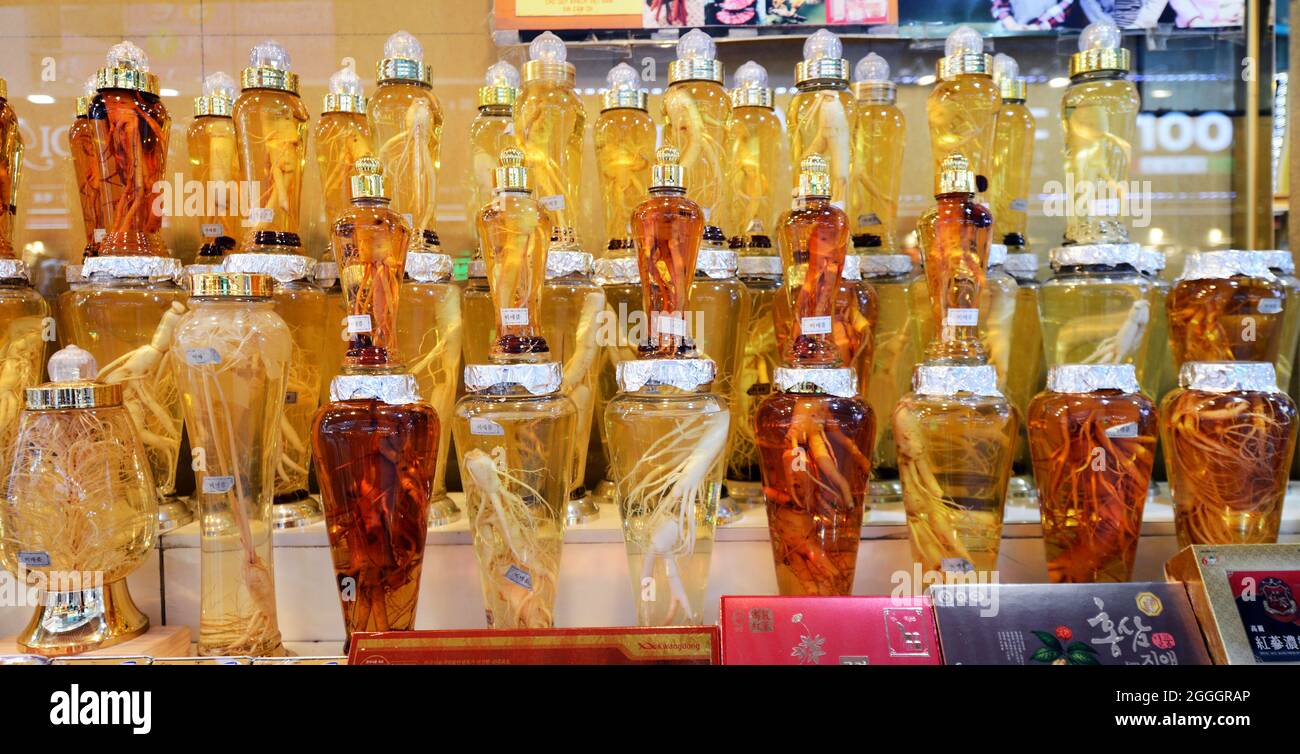 Display of ginseng (insam) at the Namdaemun Market, Seoul, Korea Stock ...