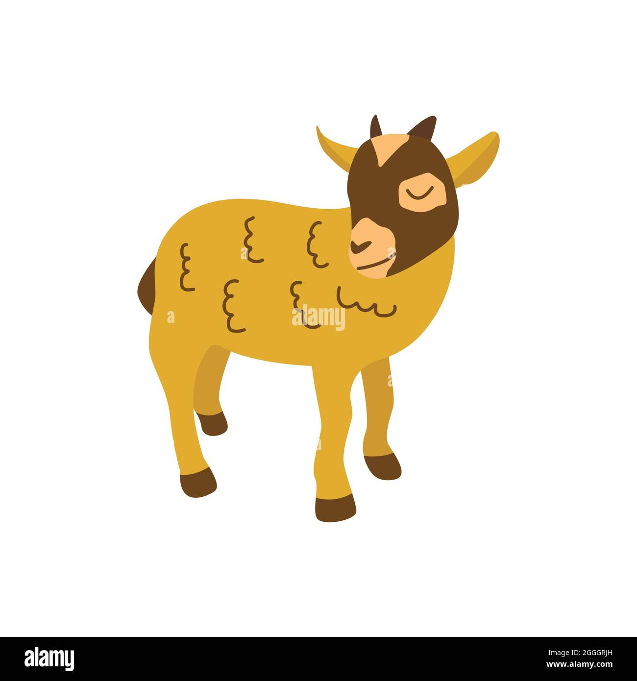 American pygmy goat. Mammal herbivore. Colorful vector isolated ...